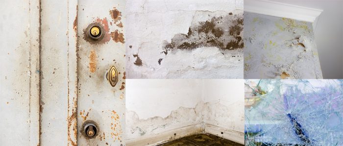 How to take photographs to evidence a housing disrepair claim