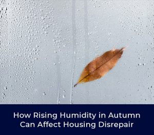 Contacting Environmental Health: A Guide for Tenants